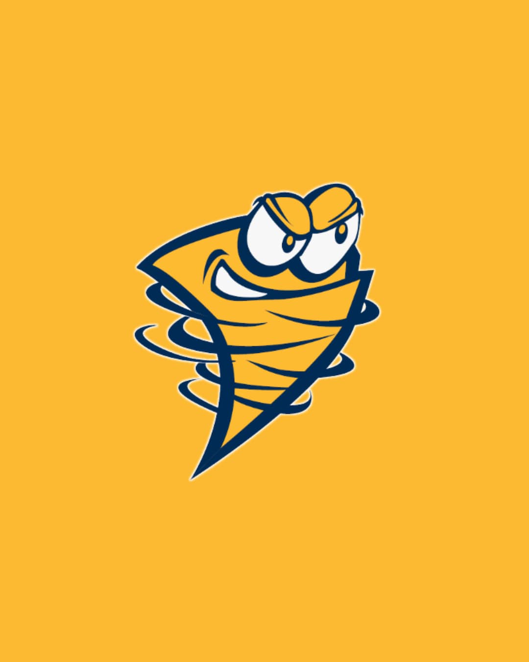 Lancaster Golden Gales Logo Blanket, Lancaster Ohio, Blue and Gold ...