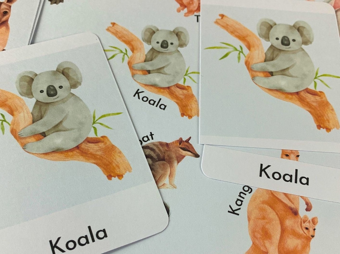 Australian Animals Flashcards Educational Flashcards - Etsy