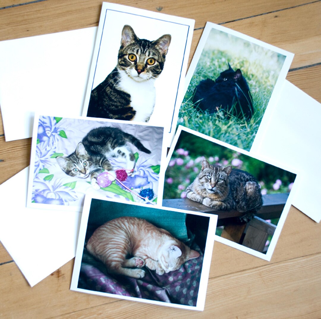 Set of 5 Note Cards: Cats and Kittens - Etsy