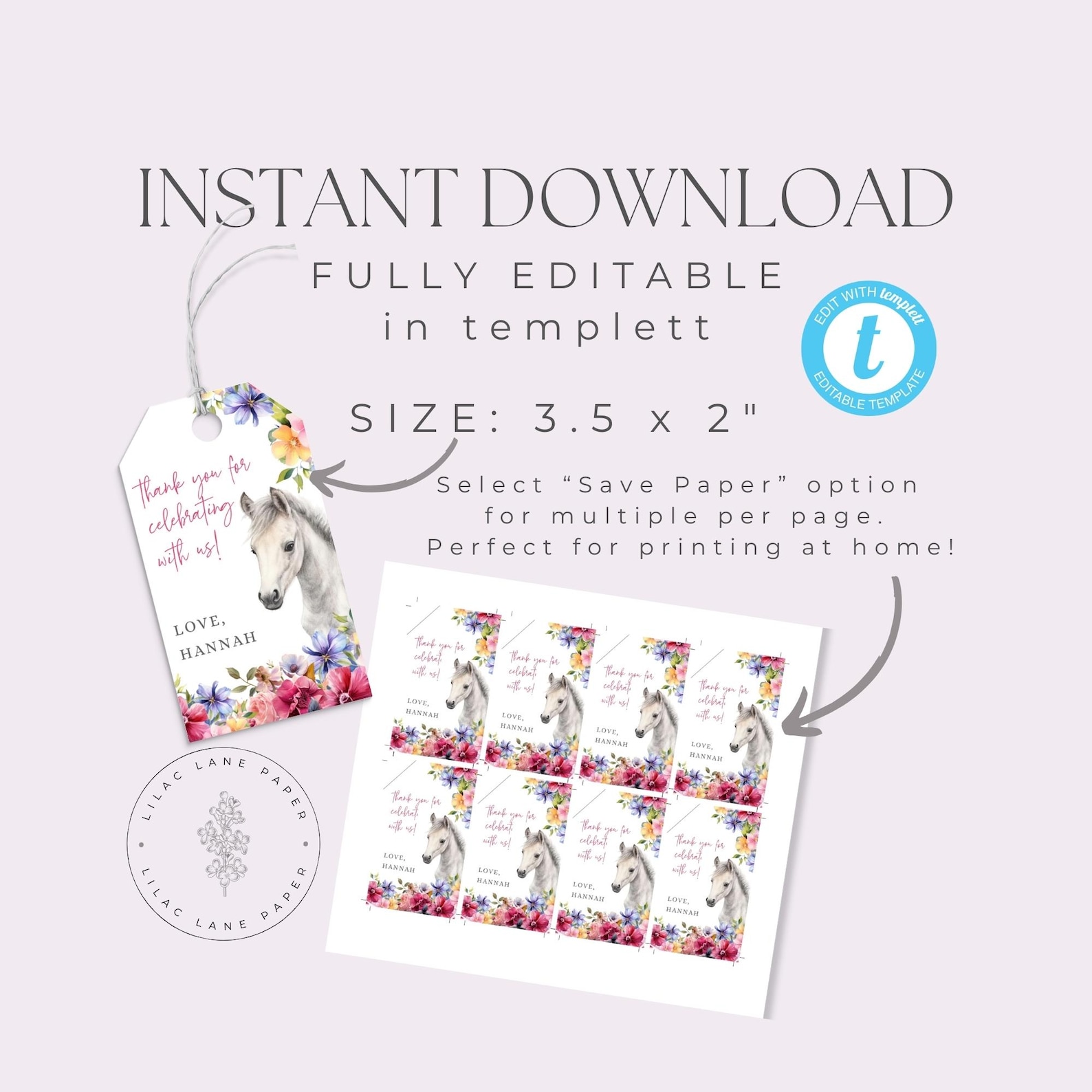 Horse Birthday Party Favor Tag, Editable Horse Favor Tags Printable ...