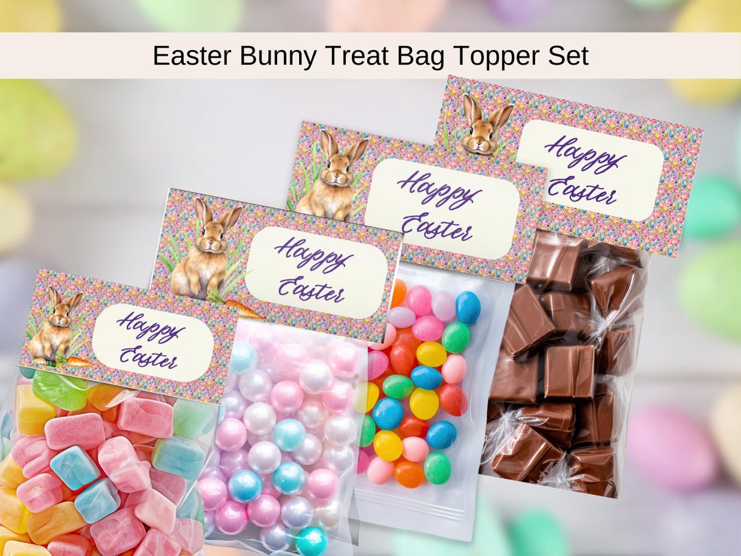 Easter Bunny Treat Bag Topper Set of 4 | Cute Bunny Decor ...