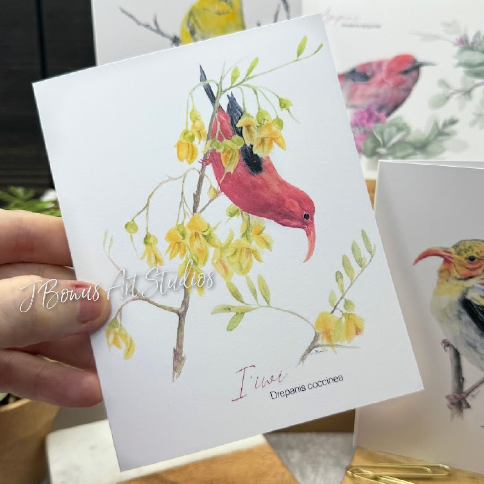 Hawaii Birds Blank Note Card Set With Envelopes Original Watercolor Art ...