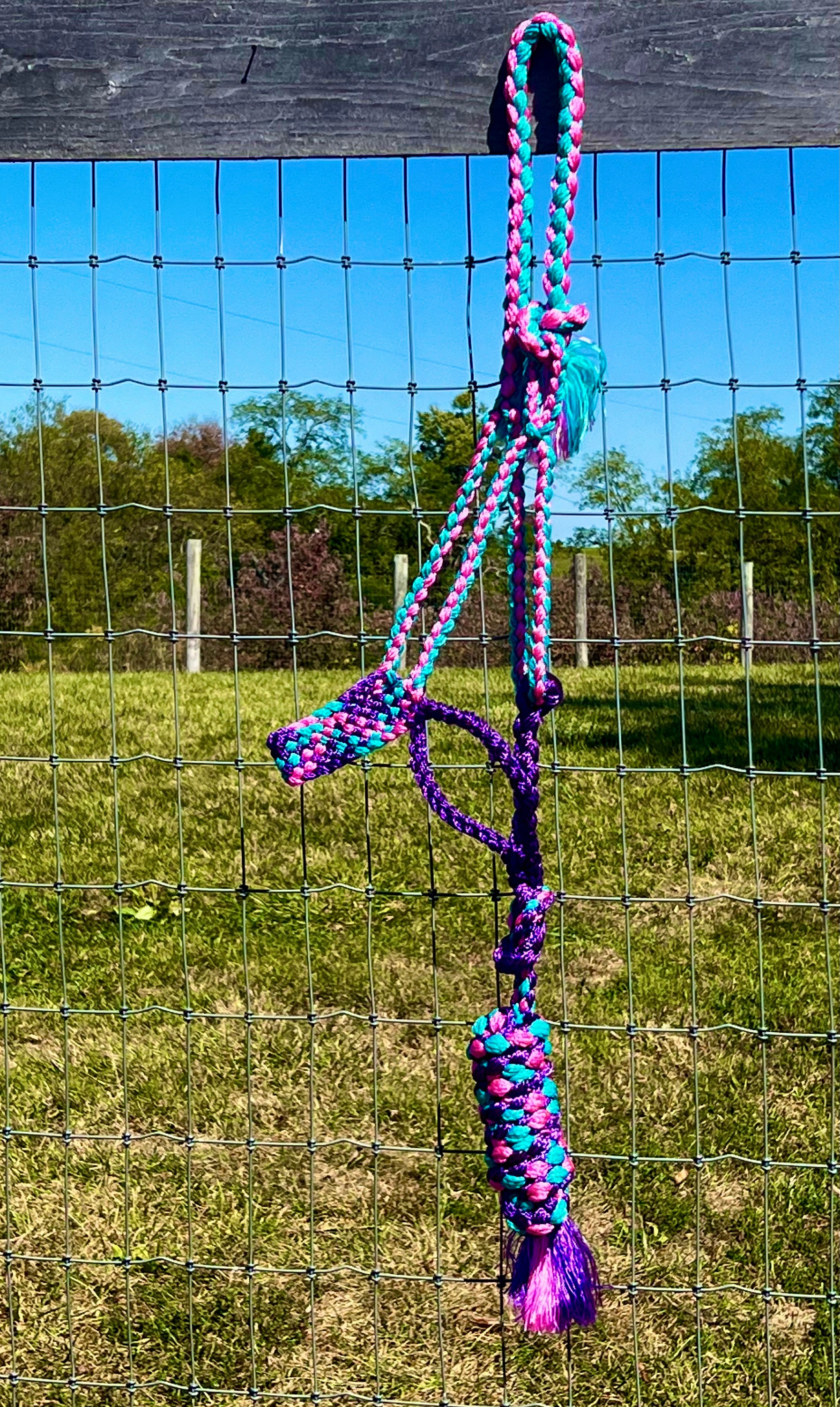 Mule Tape Braided Rope Halter - Etsy