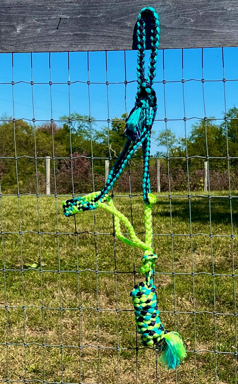 Mule Tape Braided Rope Halter - Etsy