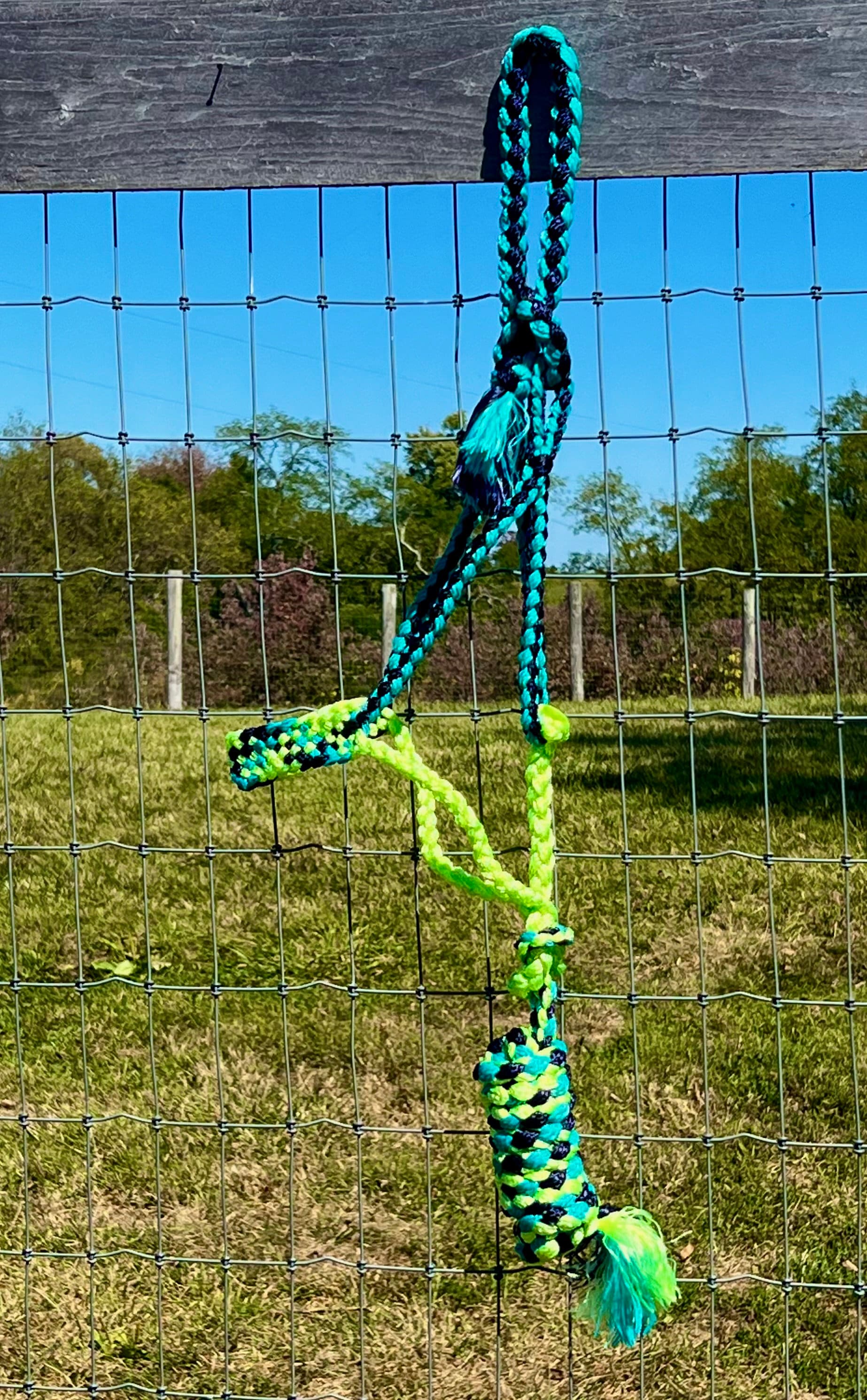 Mule Tape Braided Rope Halter - Etsy