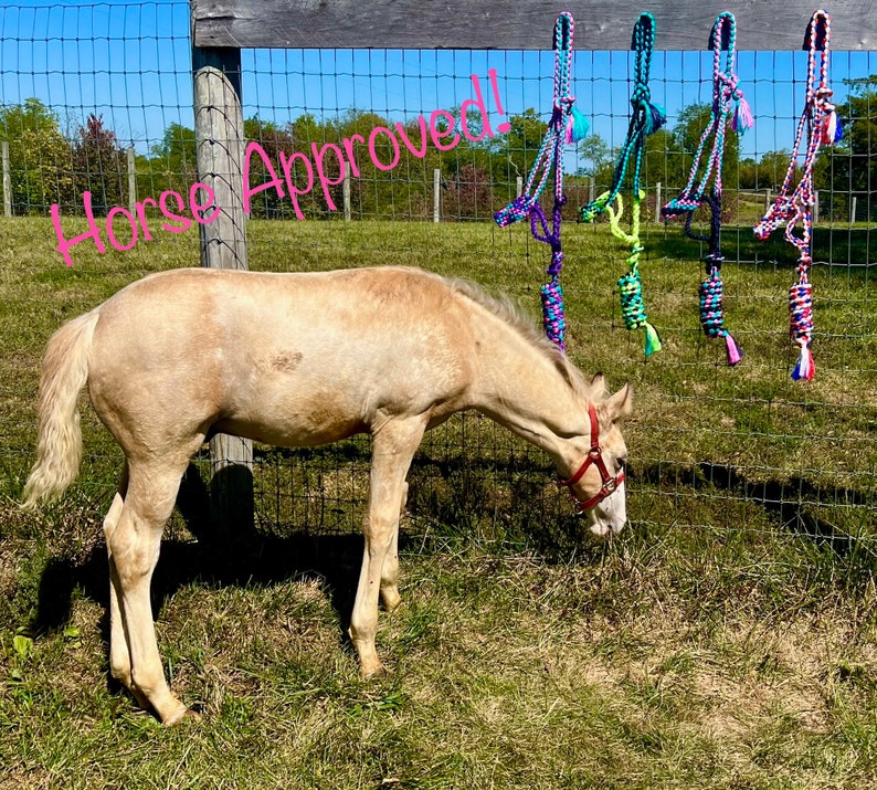 Mule Tape Braided Rope Halter - Etsy