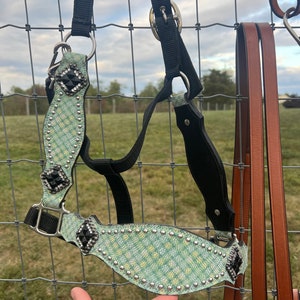 Bling Mint Crystal Ultimate Western Show Horse Tack Set Headstall ...