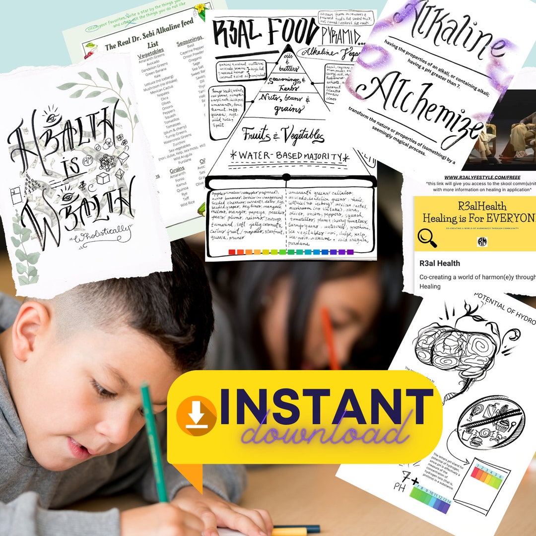 Homeschool PDF Printout Health Lesson Packet Health Food Pyramid Teach ...