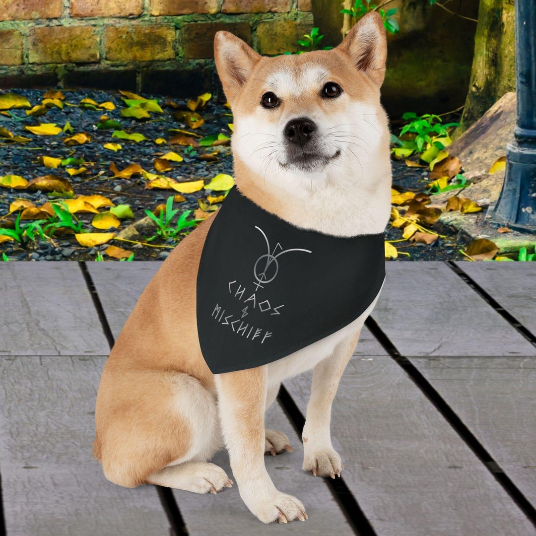 Loki Pet Bandana, Chaos & Mischief, Norse Symbol, Dog Cat Mayhem ...
