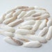 12 Single Pcs. False Angel Wing Seashell 1 1/21 - Etsy