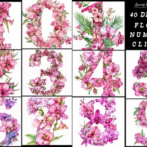 Pink Floral Numbers Clipart Set, Floral Prints, Printable Watercolor ...