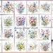 Watercolor Wildflower Clipart Bundle, Floral Clip Art Set, Spring ...