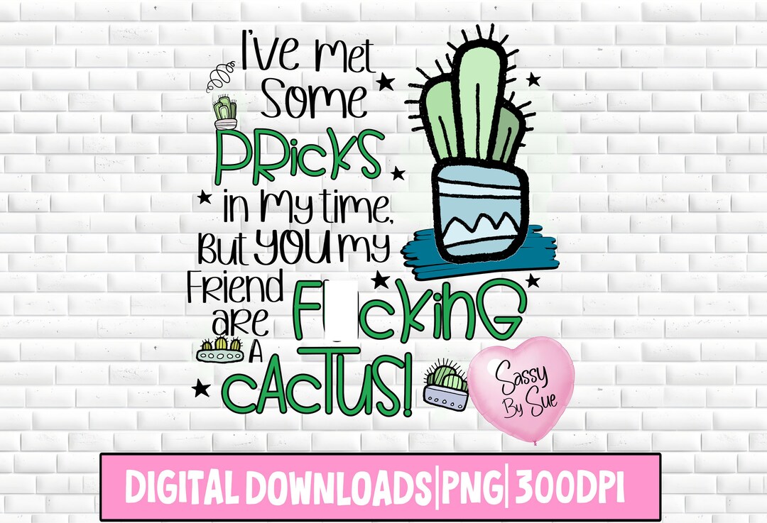 Funny Cactus PNG, I've Met Some Pricks, Sublimation Digital File ...