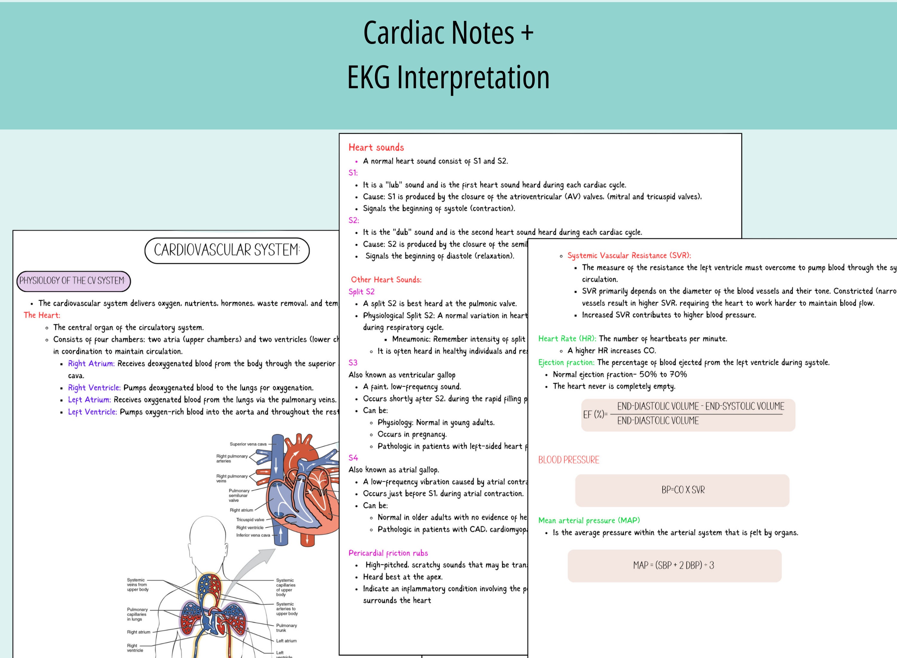 Cardiac Nursing Notes, Med Surg Notes, Cardiac Notes, Nursing Study ...