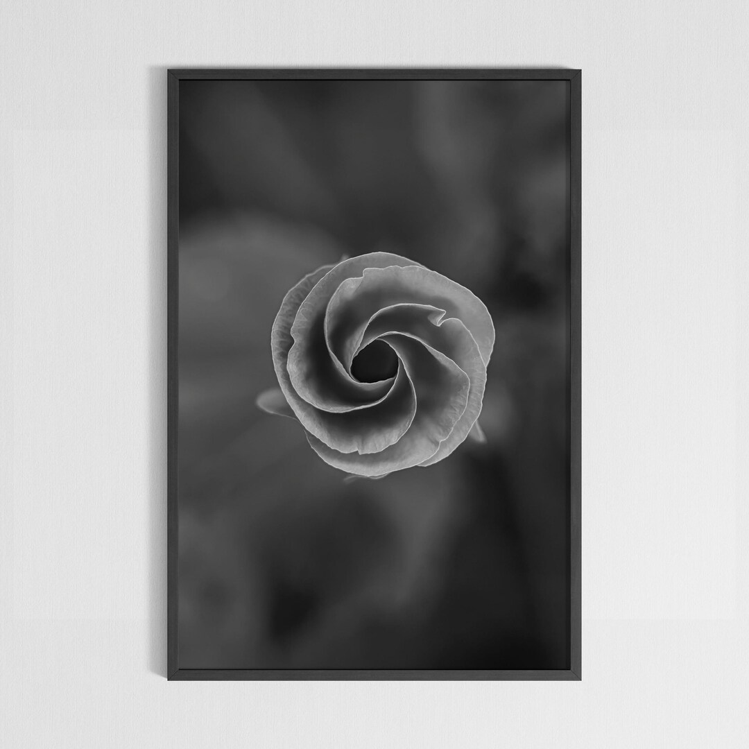 Elegant Black & White Floral Rolled Poster, Home Decor Art Print ...