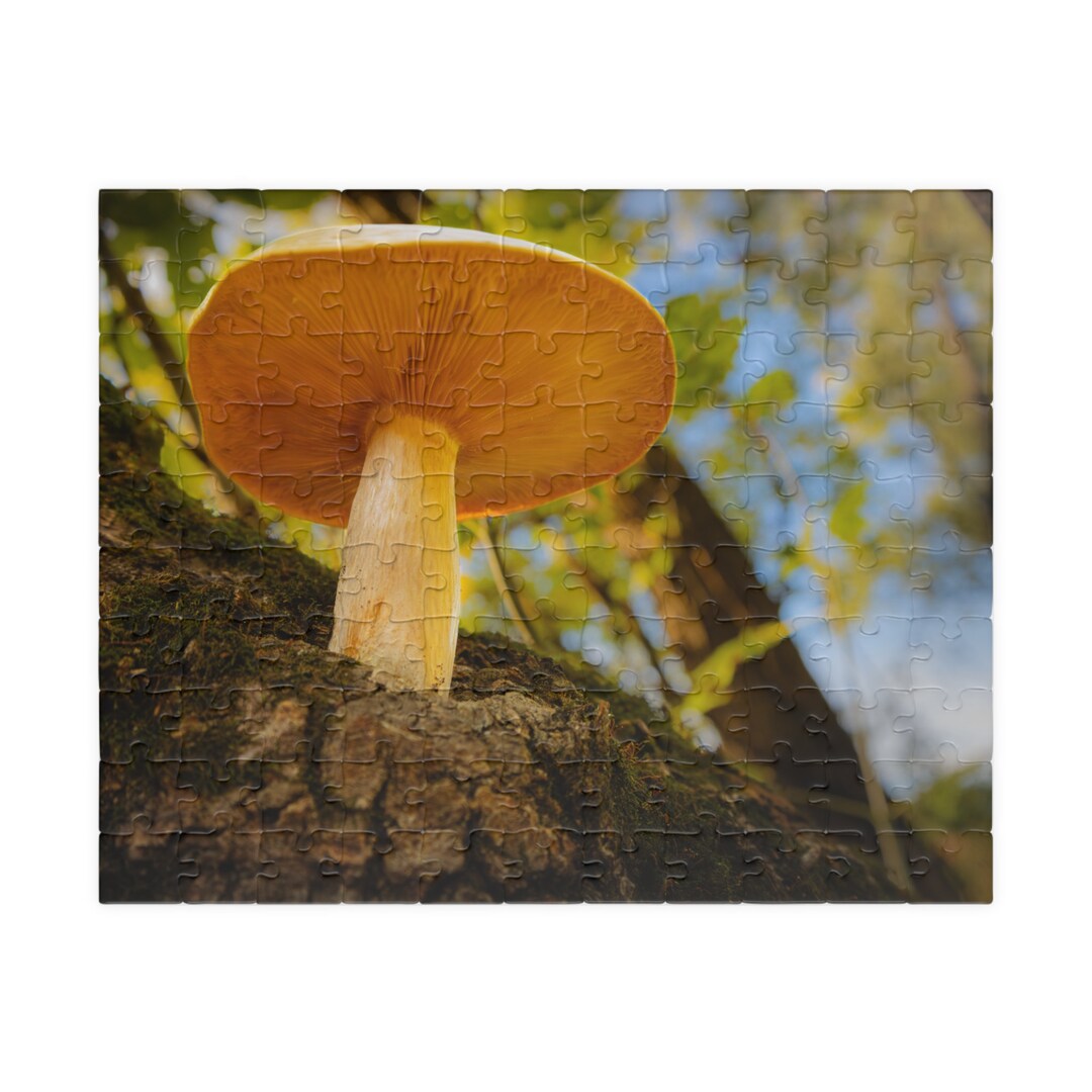 Mushroom in Forest Jigsaw Puzzle: Nature Photography Puzzle for Adults ...