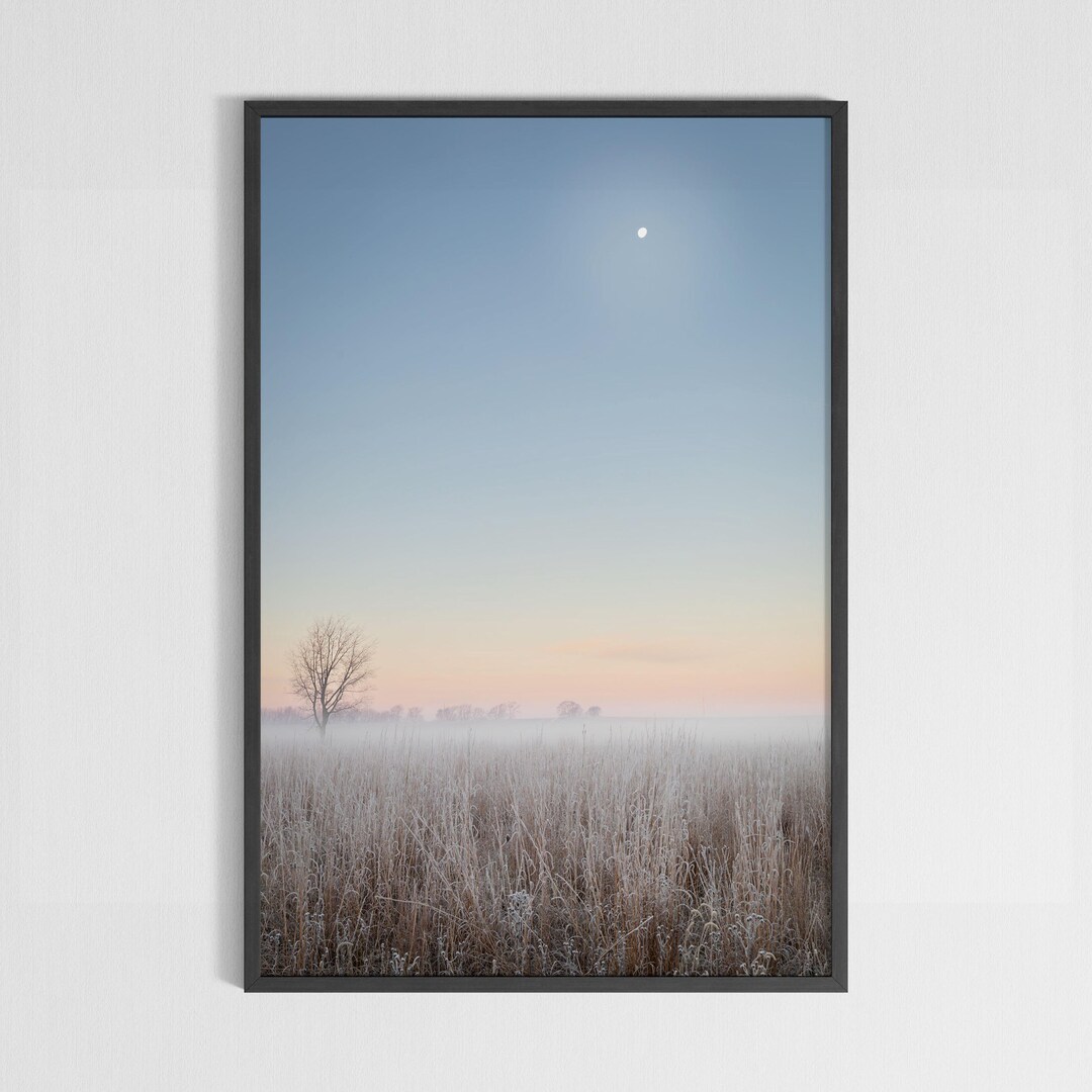 Nature Landscape Rolled Posters, Meadow Frost Moon Wall Art, Home Decor ...