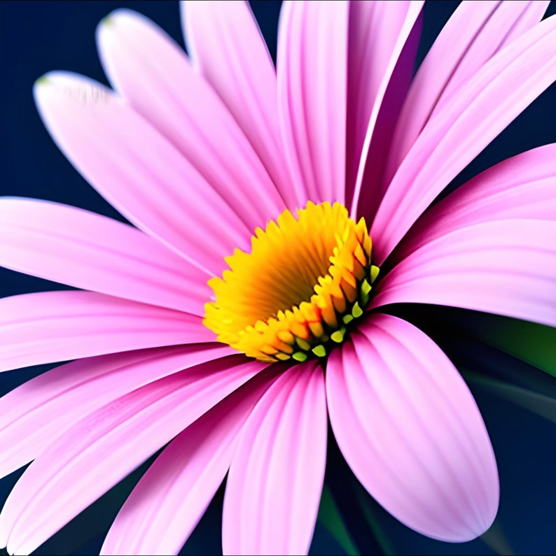Pink Digital Flower - Etsy