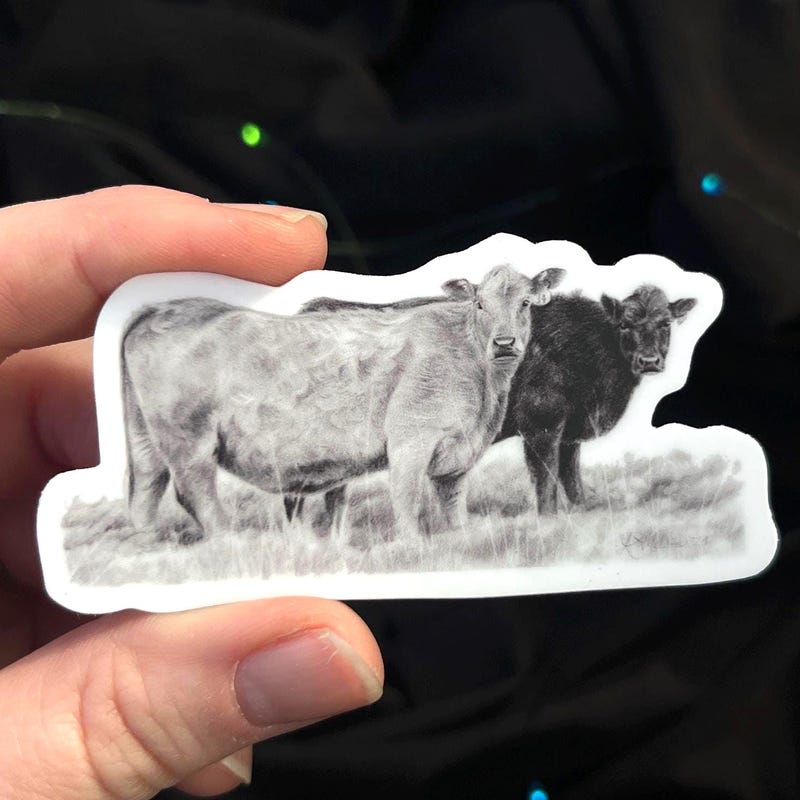 Heifer Decal - Etsy