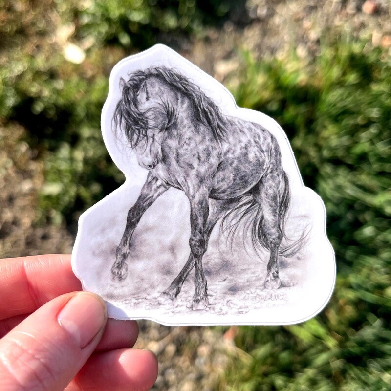 The Mustang Trailer - Etsy