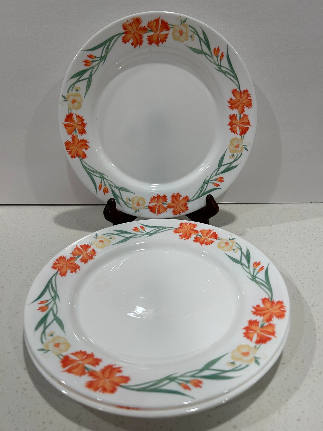 Vintage Arcopol France Dinner Plates Set of 4 - Etsy