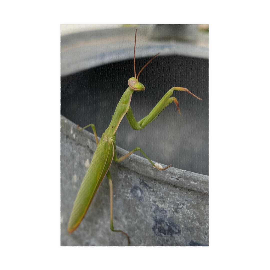 Praying Mantis Puzzle 1014-piece - Etsy
