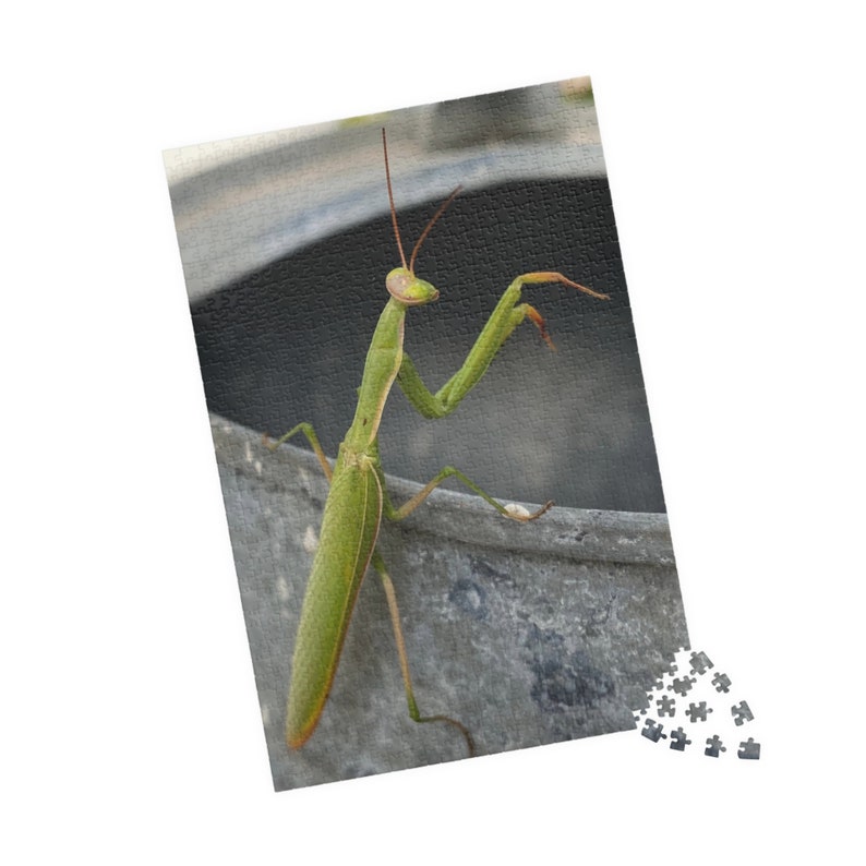 Praying Mantis Puzzle 1014-piece - Etsy