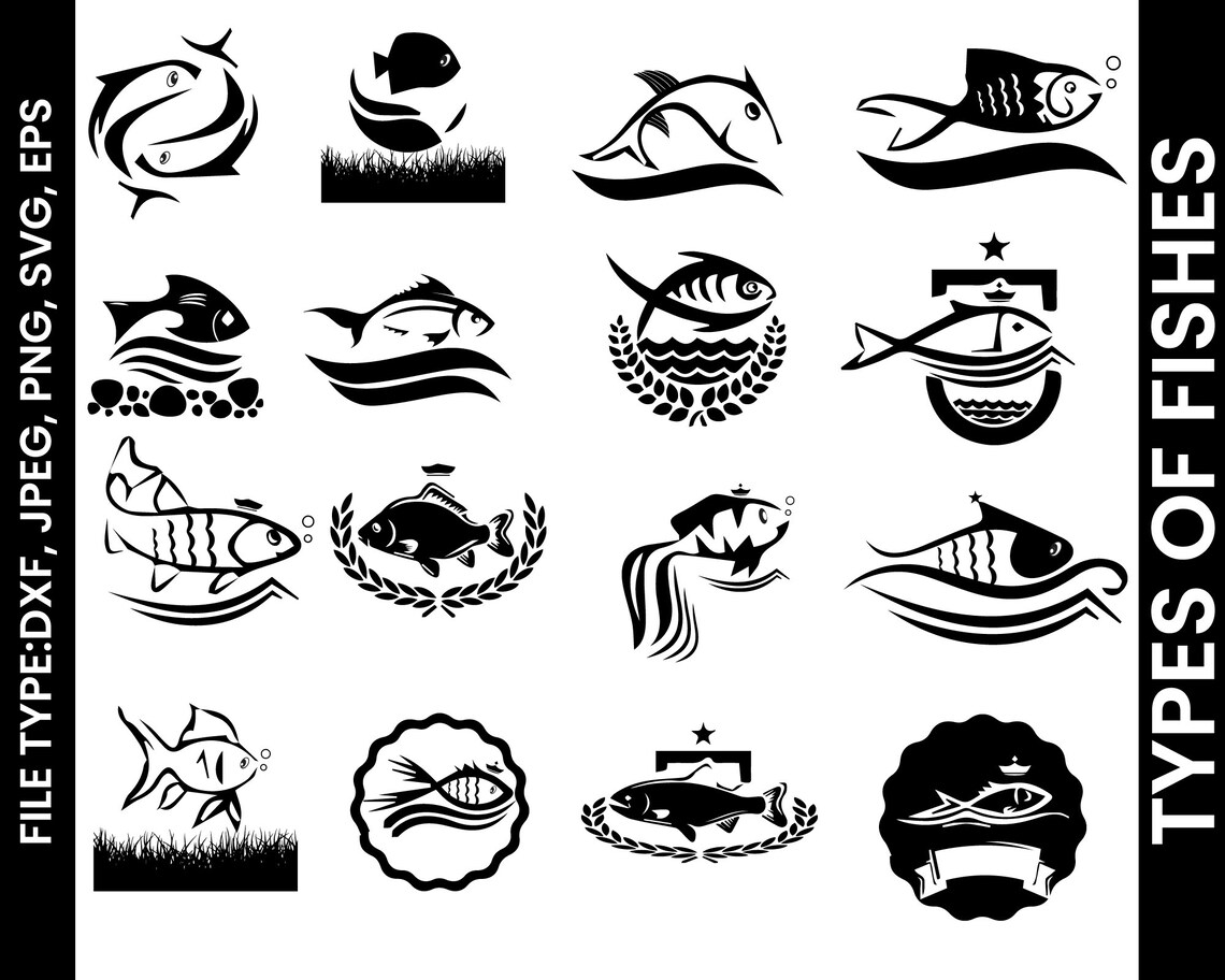 Fish SVG Bundle - 12 Types of Fish Clipart for Fishing Crafts, Bass ...