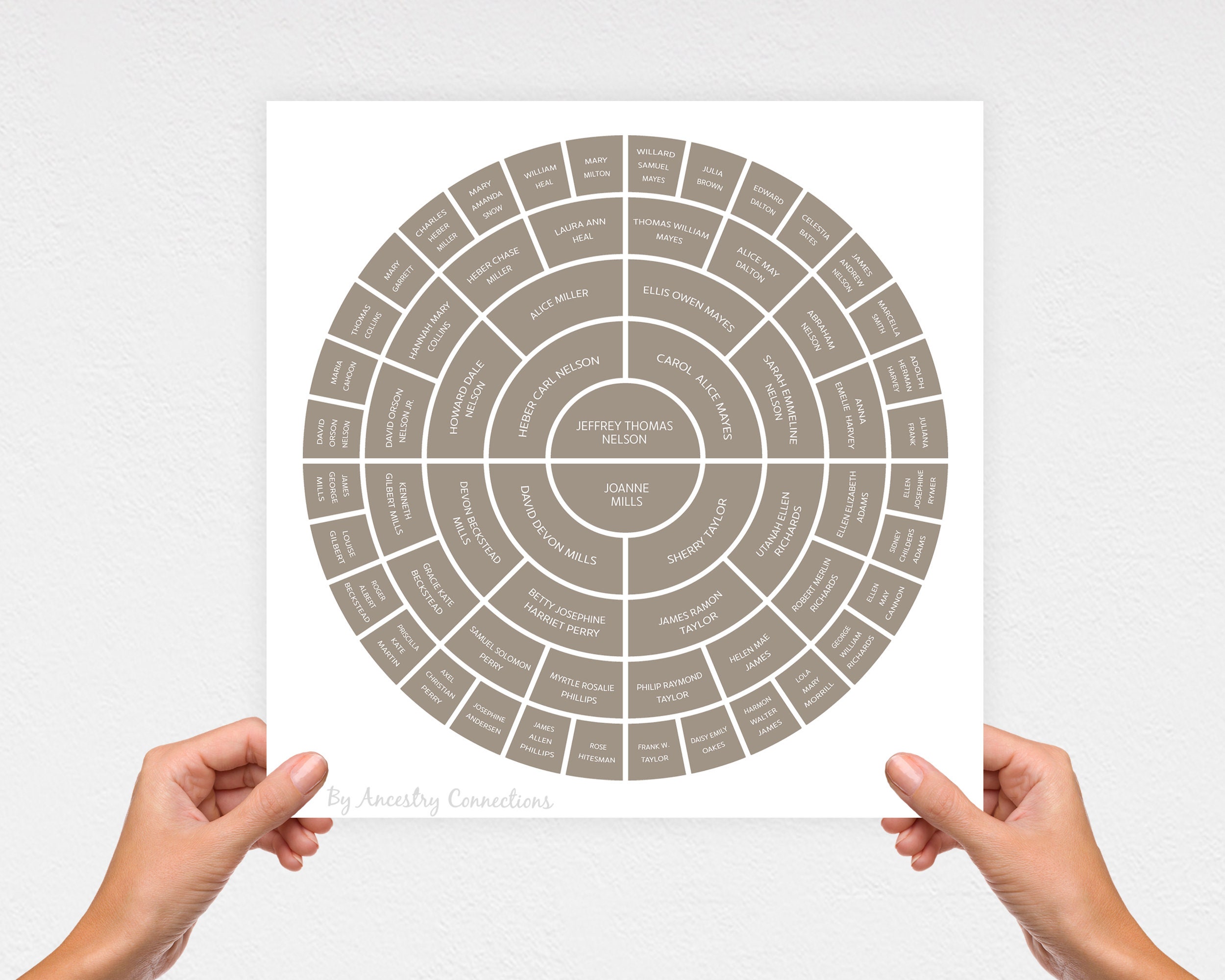 Family Generation Chart Template: Color Taupe Ancestry - Etsy