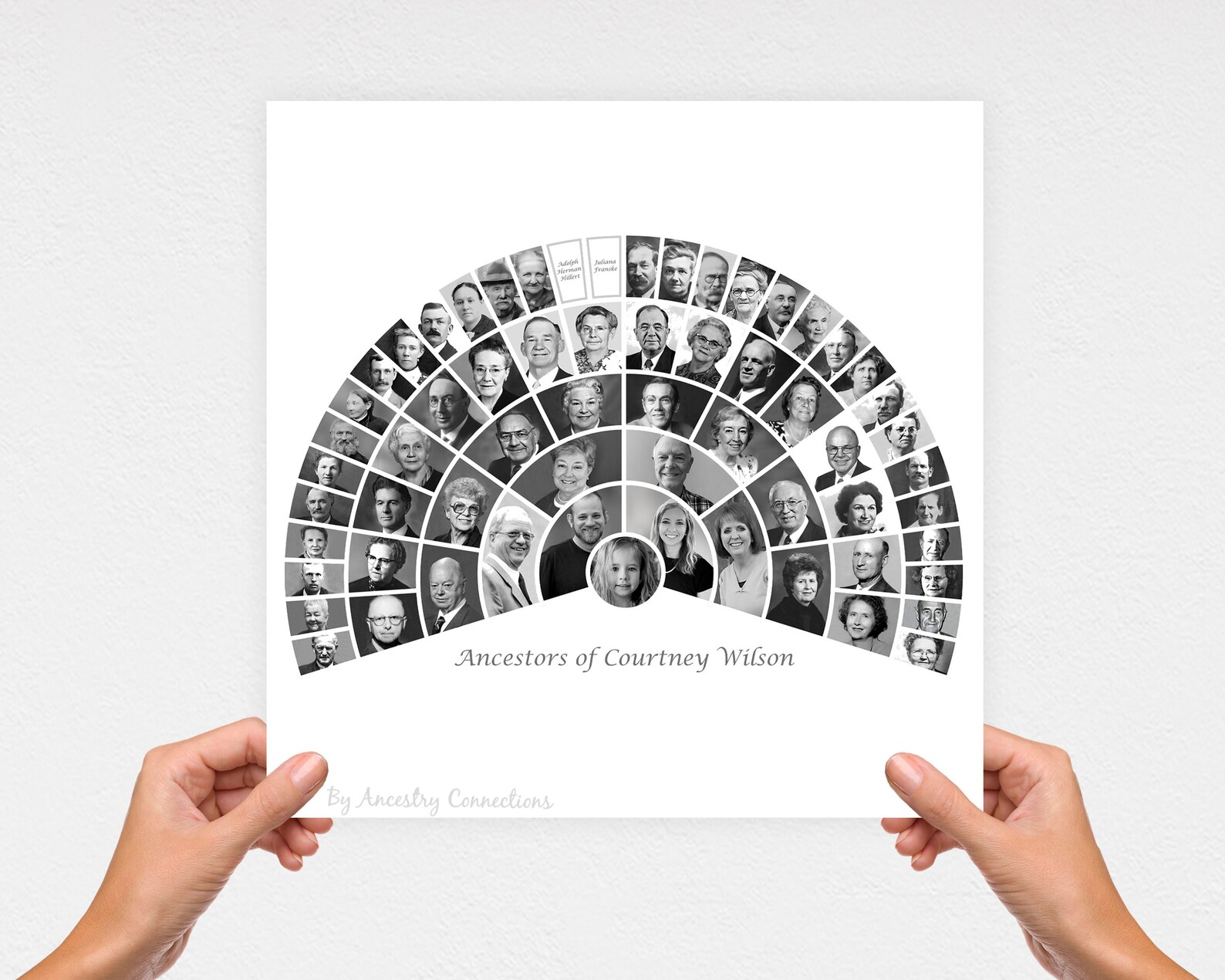 Family Tree Photo Fan Chart 6 Generations Ancestry - Etsy
