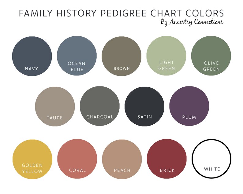 Family Generation Chart Template: Color Brick | Ancestry Connections - Etsy
