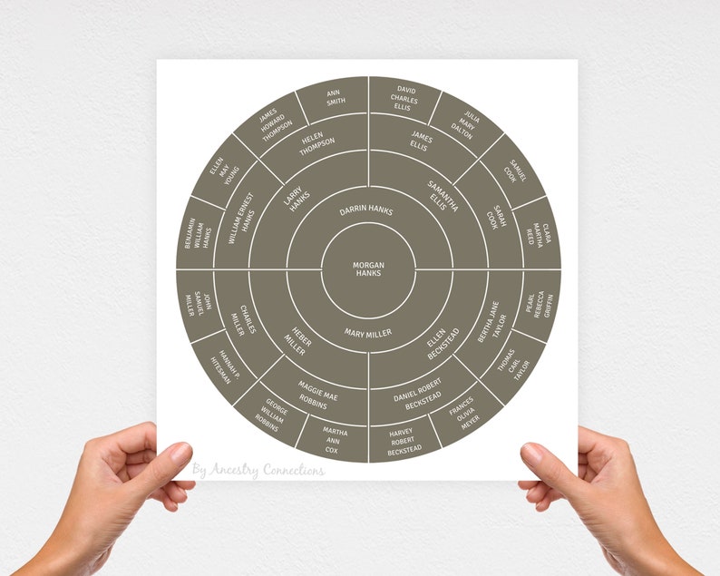 Child Family Tree Chart Template: Color Brown | Ancestry Connections - Etsy