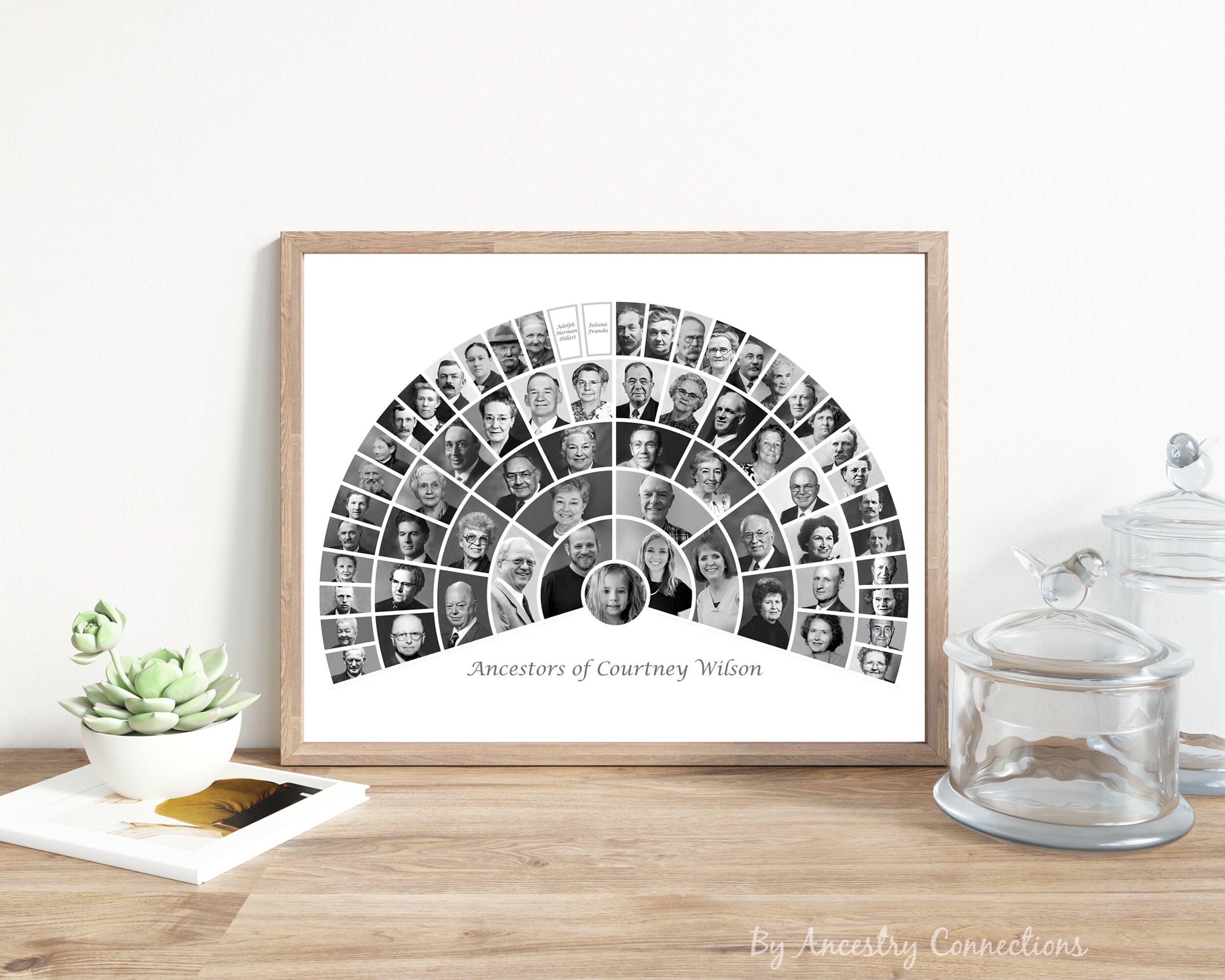 Family Tree Photo Fan Chart 6 Generations | Ancestry Connections - Etsy
