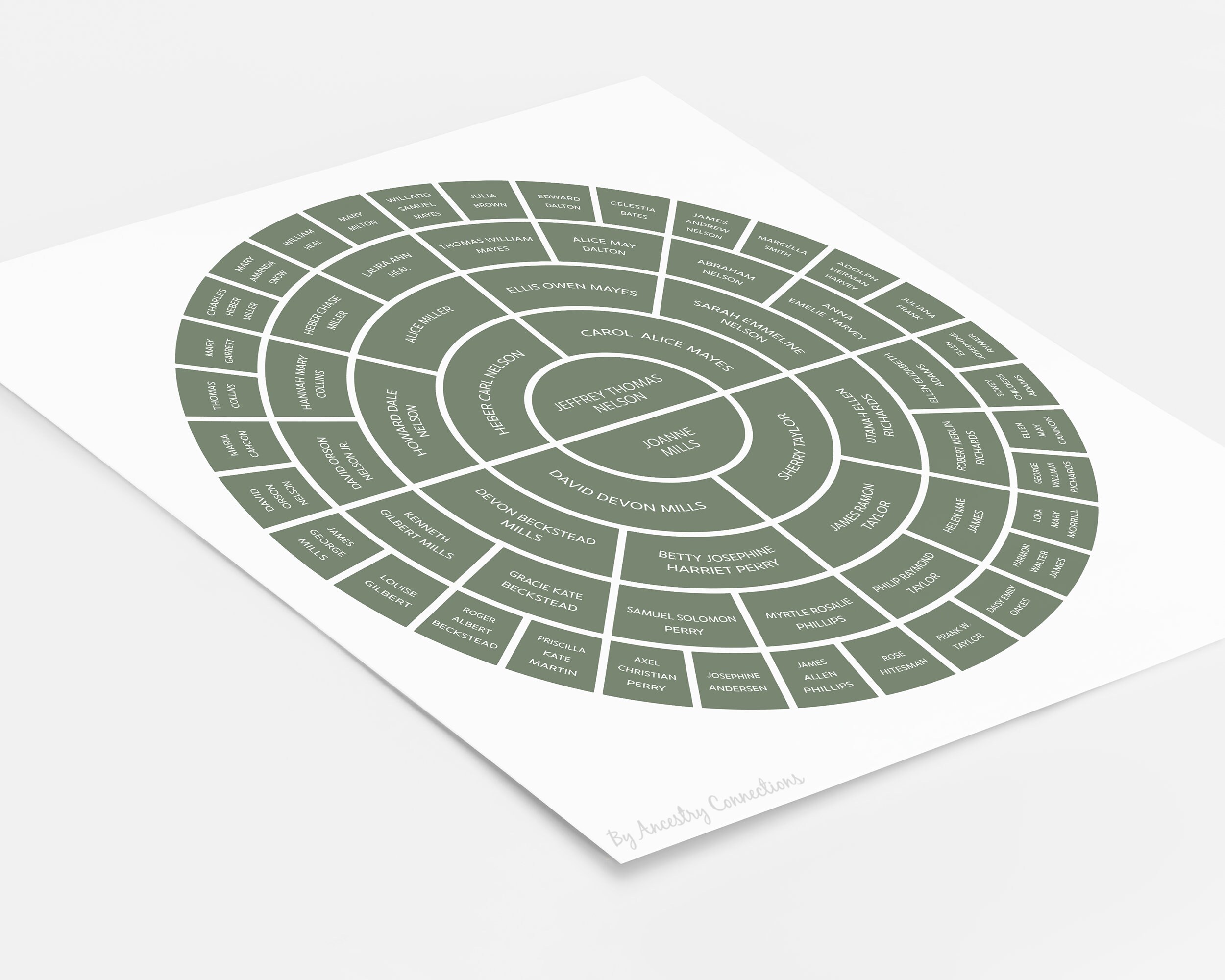 Family Generation Chart Template: Color Olive Green Ancestry - Etsy
