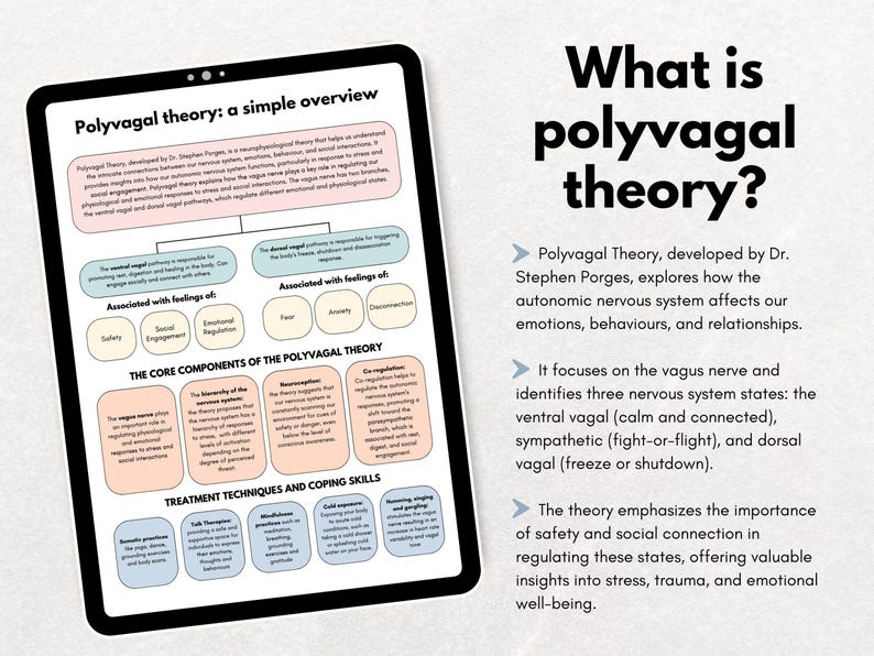 Polyvagal Theory: Understanding the Nervous System | Nervous System ...