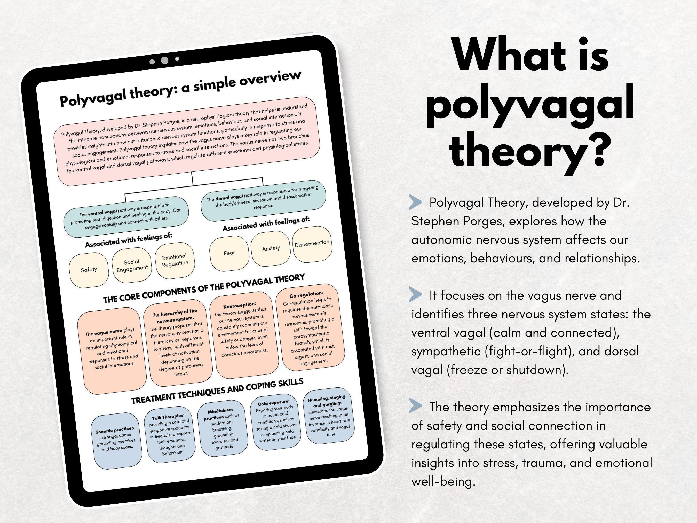 Polyvagal Theory Workbook: Nervous System Regulation (digital Download ...