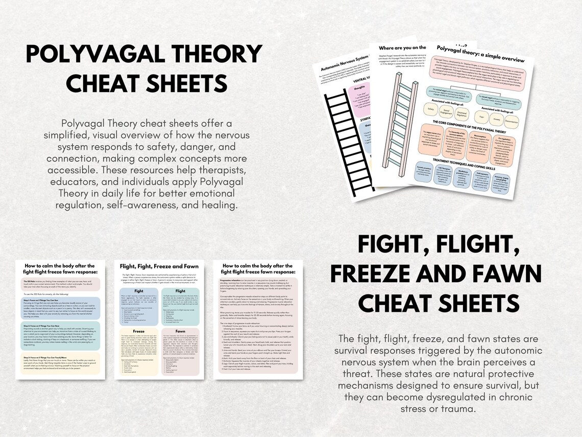 Nervous System Regulation Worksheets: Polyvagal Theory, Somatic Therapy ...
