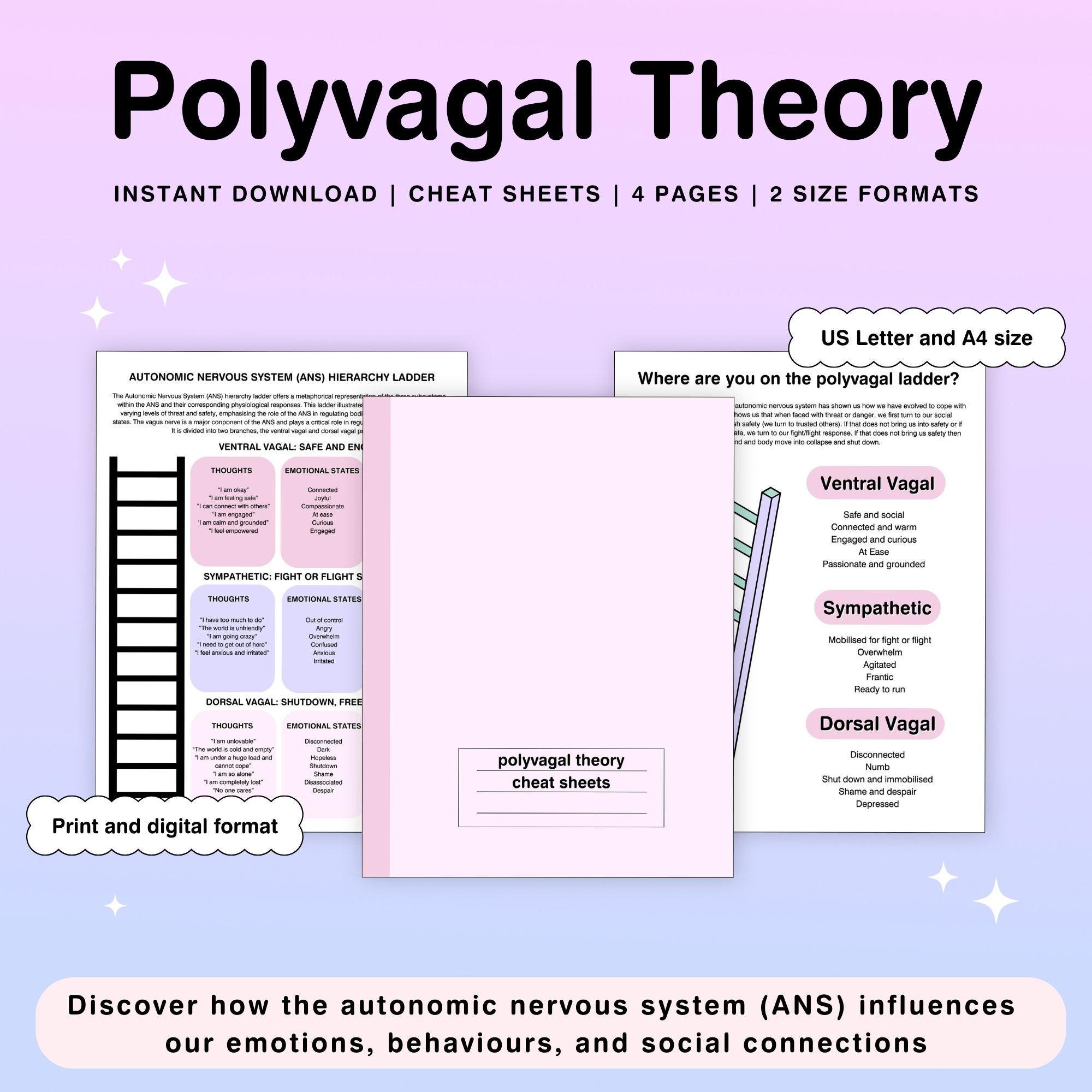 Polyvagal Theory Nervous System Regulation Polyvagal Ladder Cheat ...