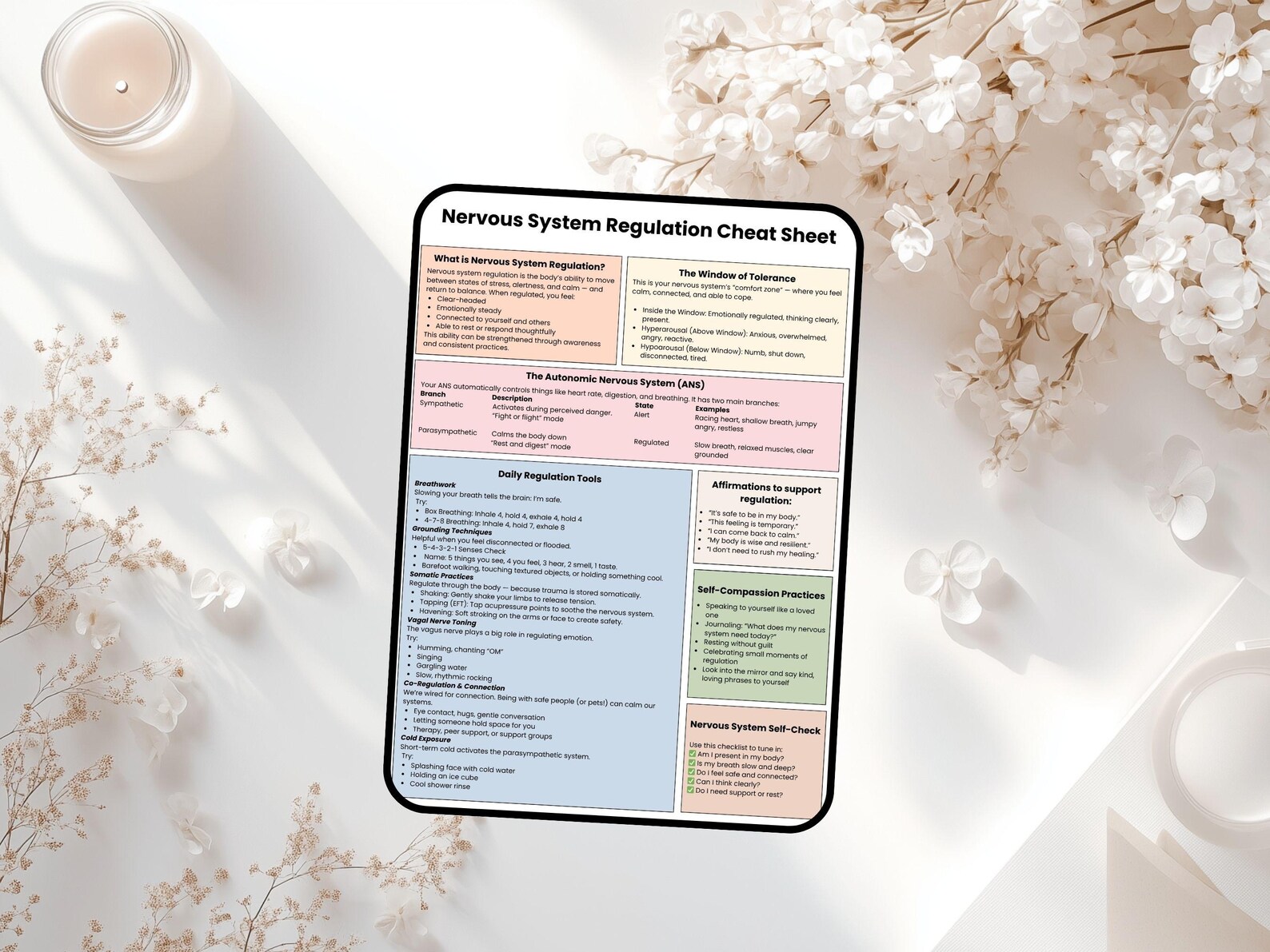 Nervous System Regulation Cheat Sheet, Polyvagal Theory Worksheet ...