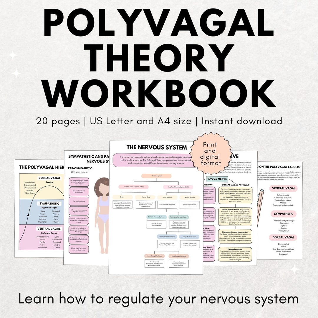 Polyvagal Theory: Understanding the Nervous System | Nervous System ...