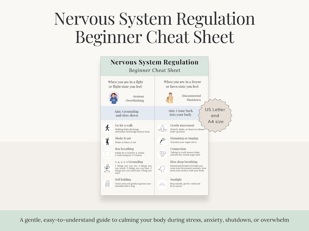 Nervous System Regulation Cheat Sheet | Beginner Guide to Fight Flight ...