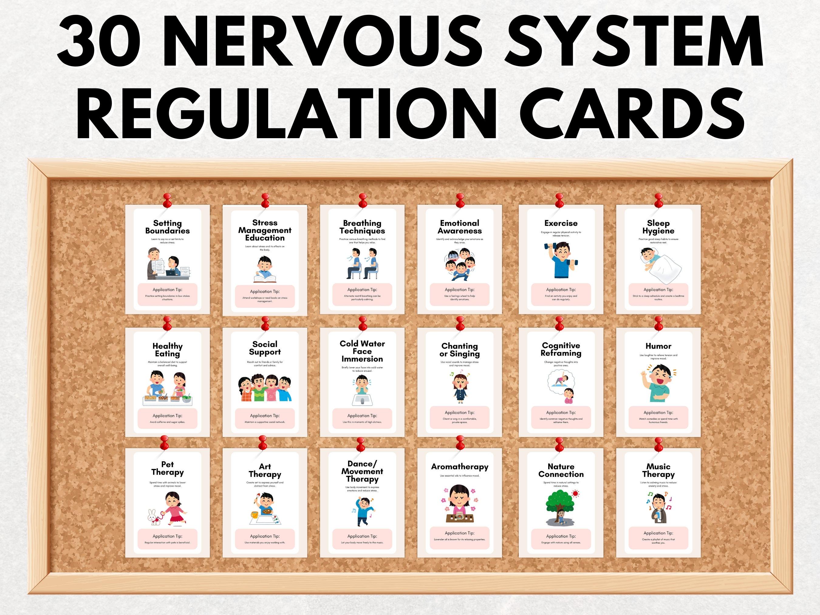 Nervous System Regulation Cards, Coping Skills Cards, Autonomic Nervous ...