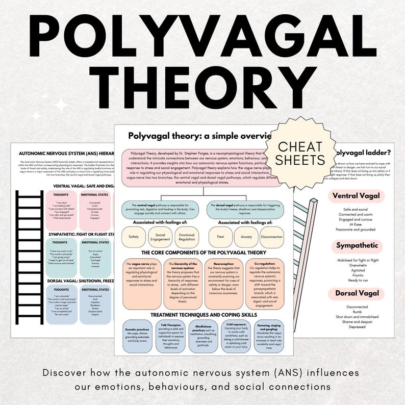 Polyvagal Theory | Nervous System Regulation | Polyvagal Ladder | Cheat ...