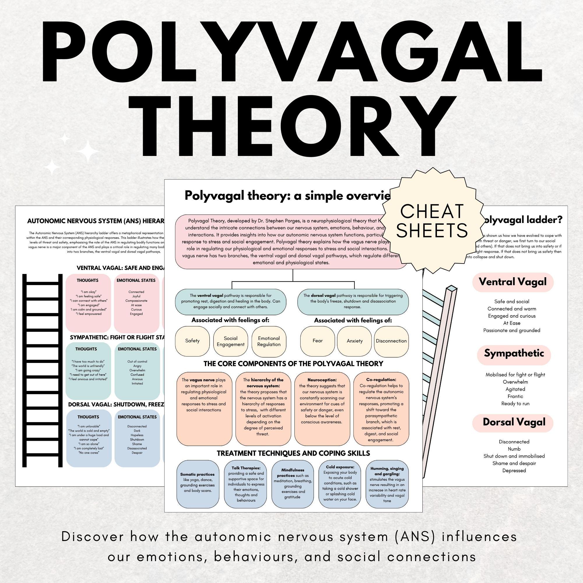 Polyvagal Theory | Nervous System Regulation | Polyvagal Ladder | Cheat ...