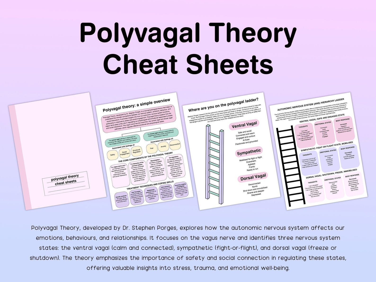 Polyvagal Theory Nervous System Regulation Polyvagal Ladder Cheat ...