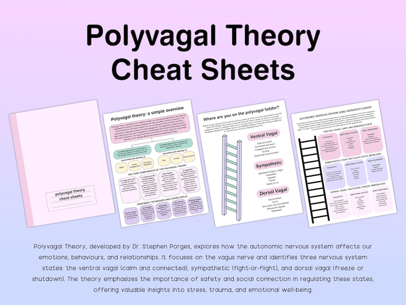Polyvagal Theory Nervous System Regulation Polyvagal Ladder Cheat ...