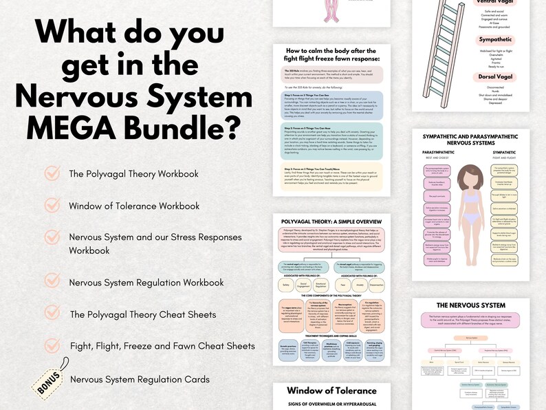 Nervous System Regulation Worksheets: Polyvagal Theory, Somatic Therapy ...
