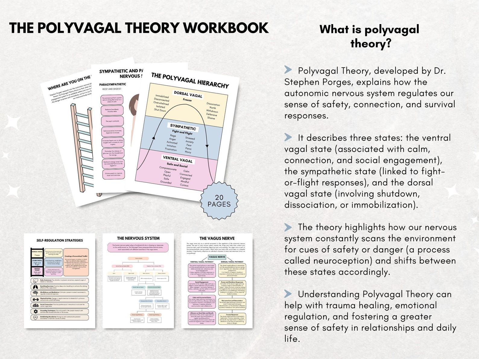 Nervous System Regulation Worksheets: Polyvagal Theory, Somatic Therapy ...