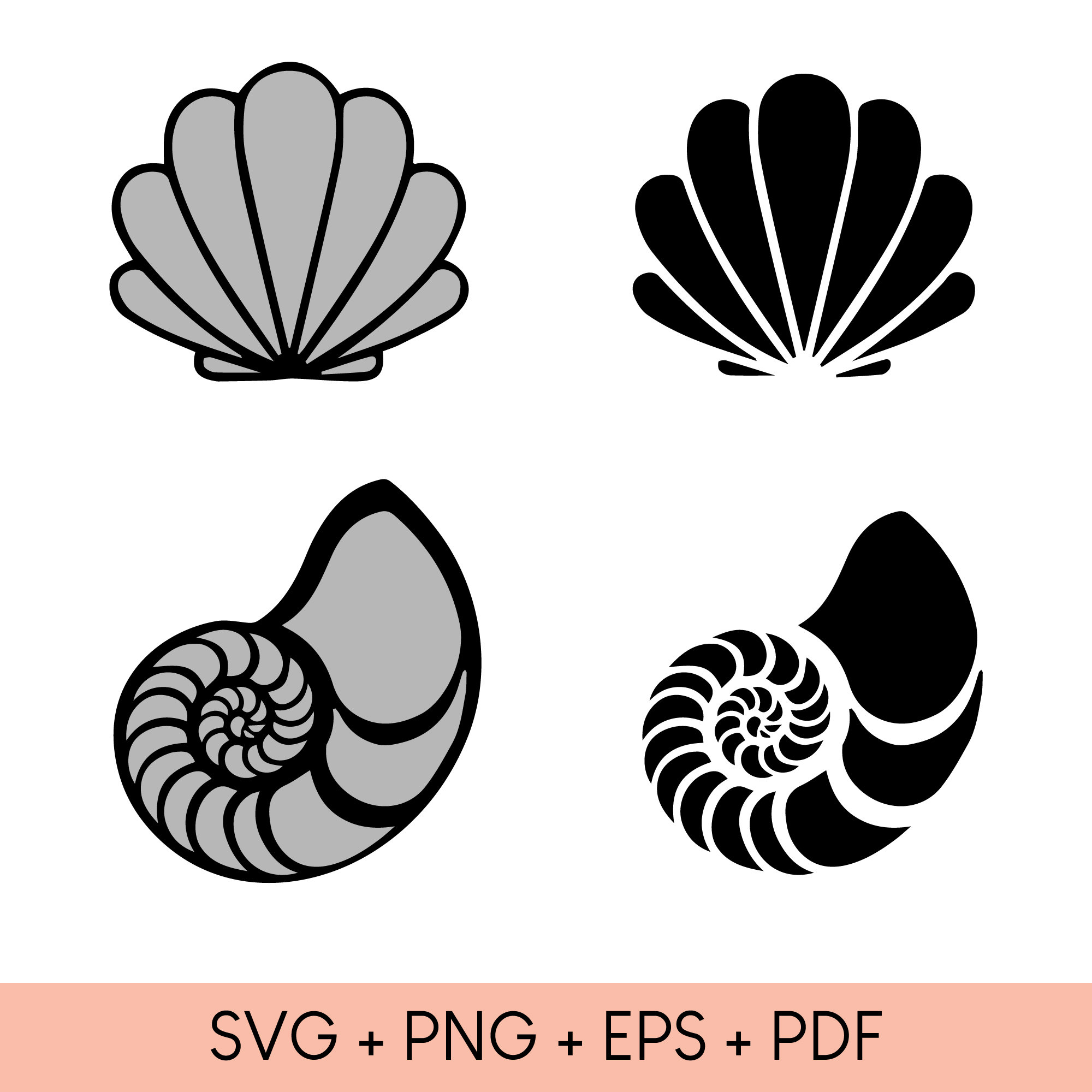 Sea Shell Svg Shell Svg Fossil Svg Ocean Svg Fish Svg - Etsy