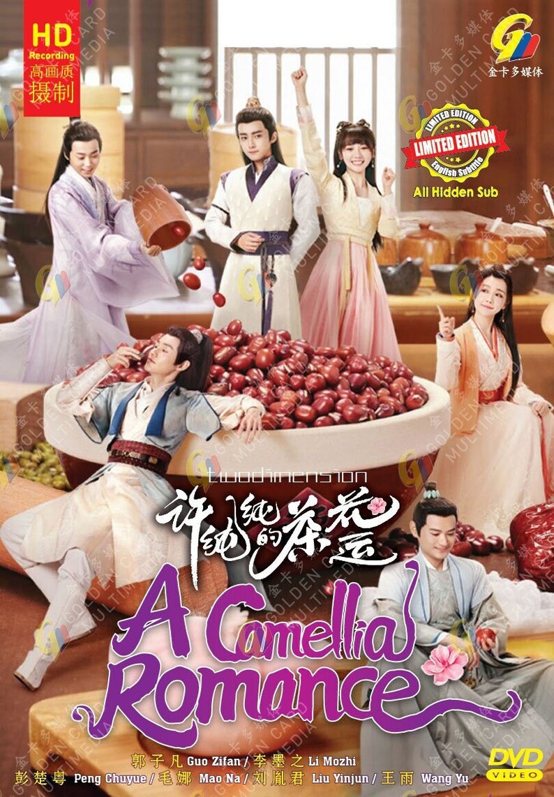 DVD Chinese Drama Series A Camellia Romance 许纯纯的茶花运 (volume 1-24 End ...
